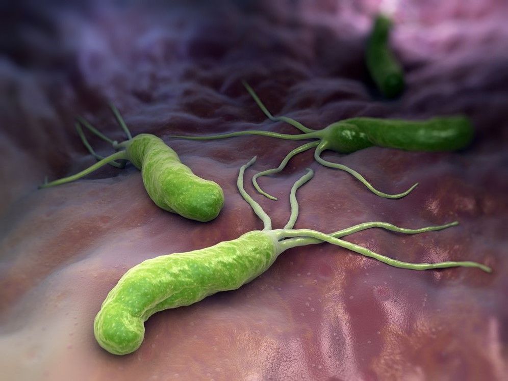 How Do You Measure Gut Health And When Is It Even Warranted With Dr